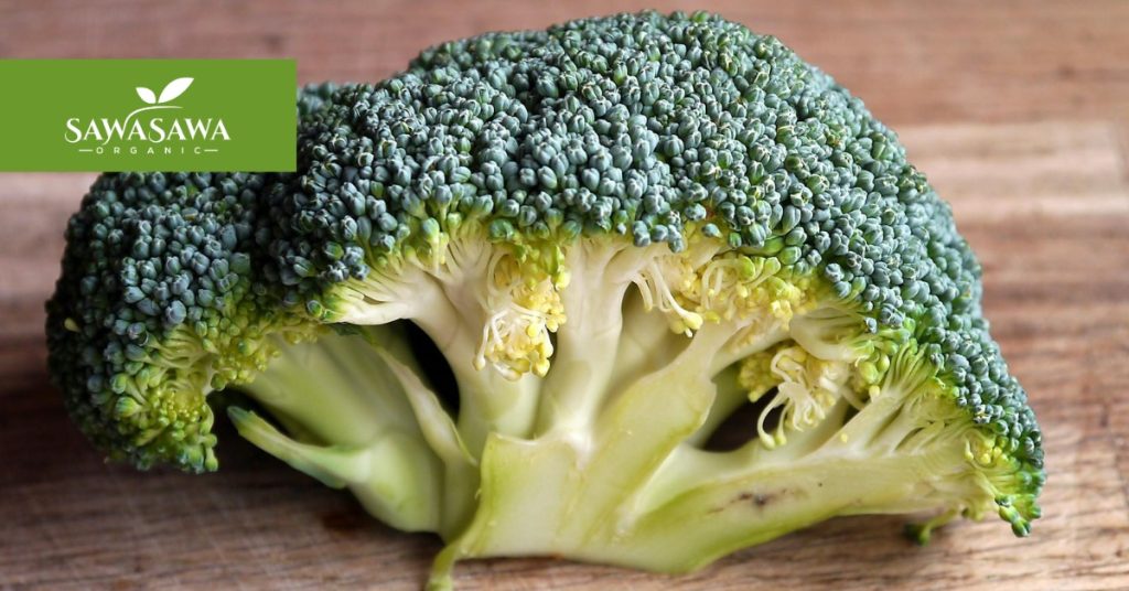 Amazing Benefits Of Eating Broccoli! | Sawasawa Organic Farm